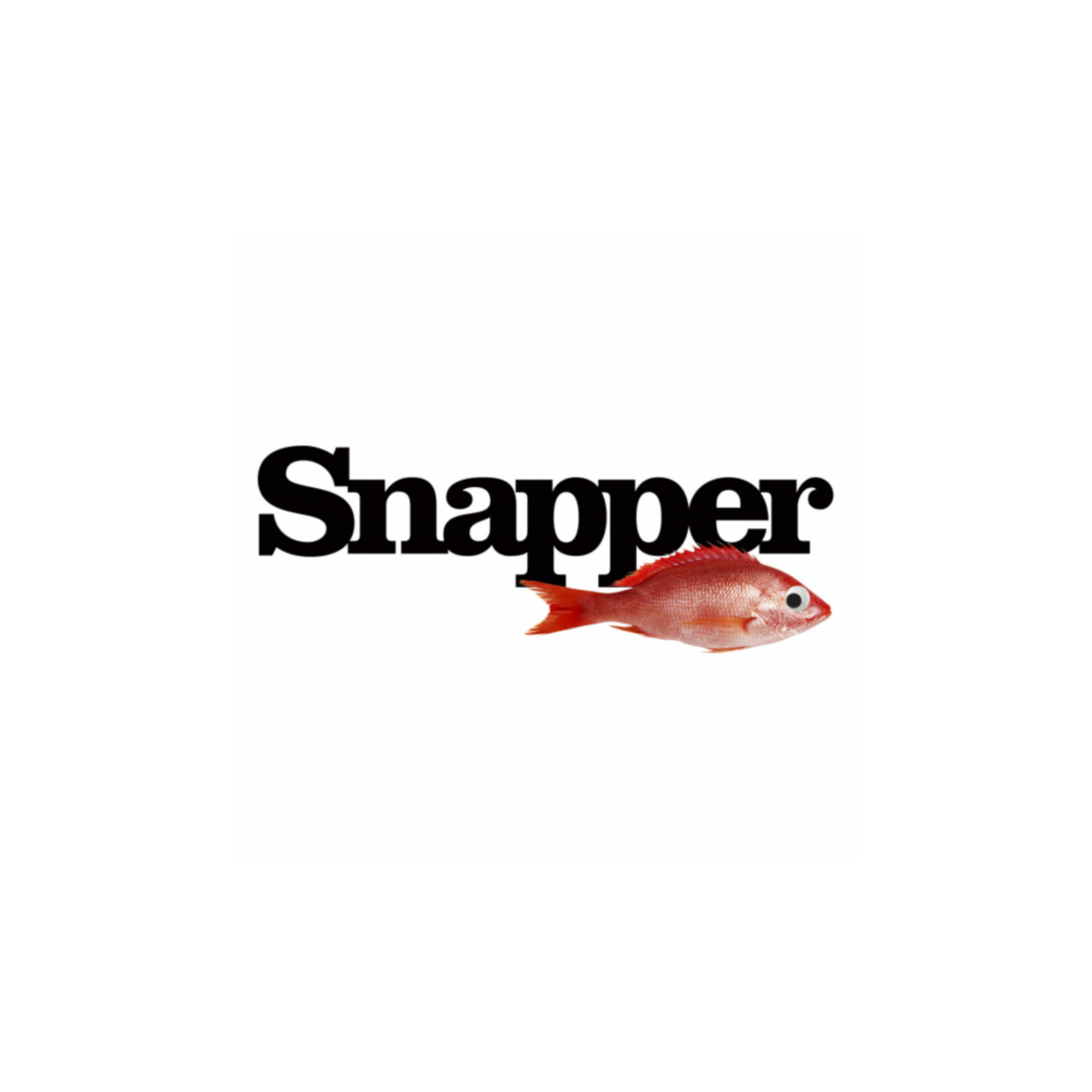 Snapper Films | Advertising Producers Association | Advertising ...