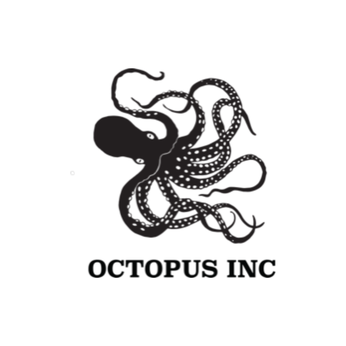 Octopus Inc. | Advertising Producers Association | Advertising ...